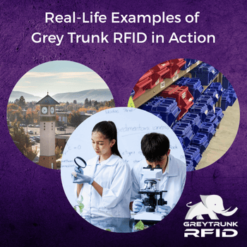 Discover the Best Low-Cost Asset Tracking System for Your Business - Grey Trunk RFID